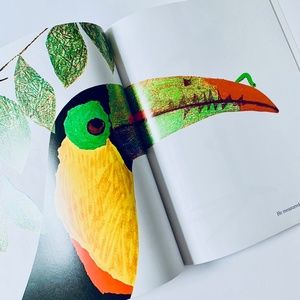 Dragonfly Books | Toys | Children Paper Book Inch By Inch Leo Lionni ...